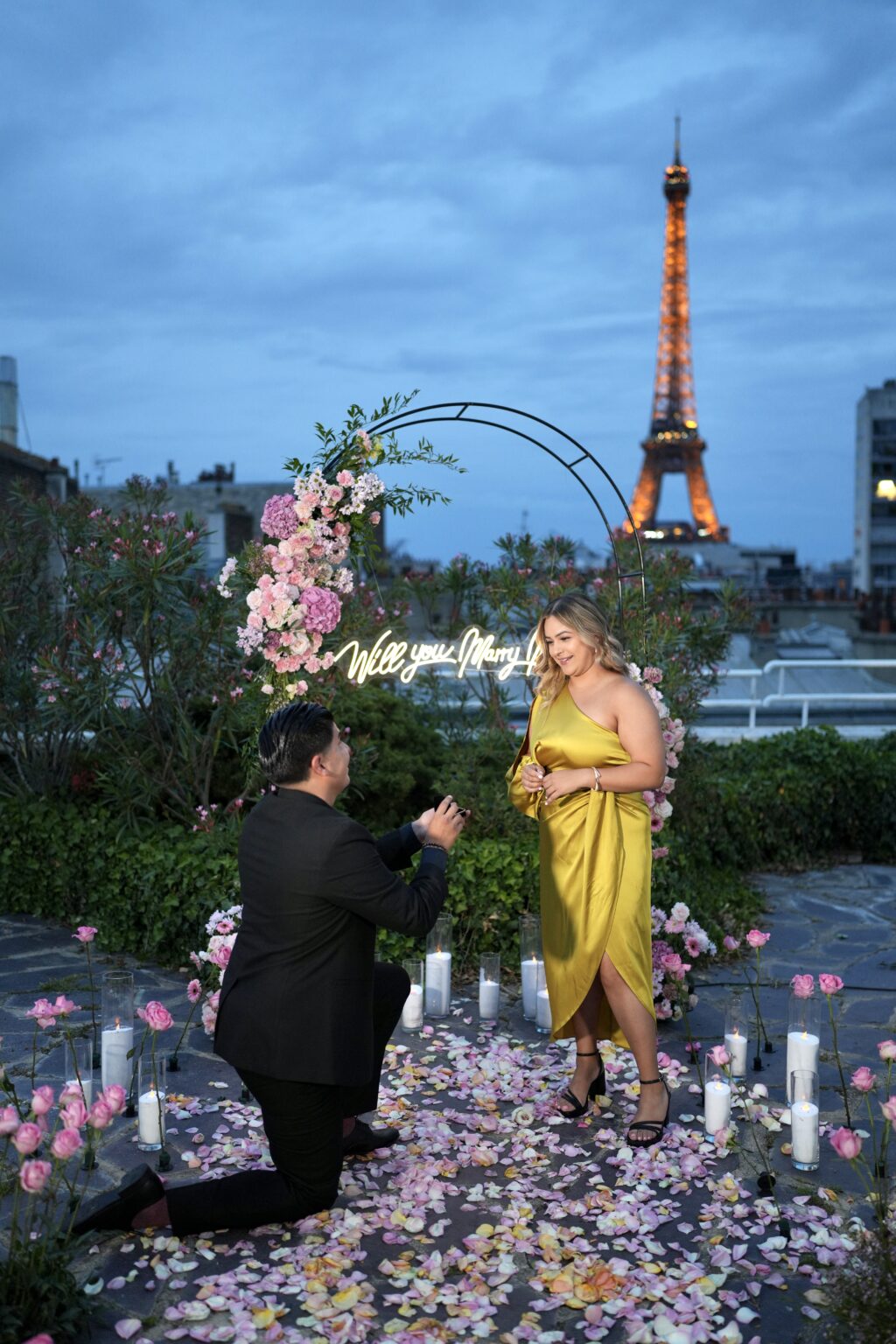 Prices of Paris Proposal Planner and Bespoke Proposals (Rooftop ...